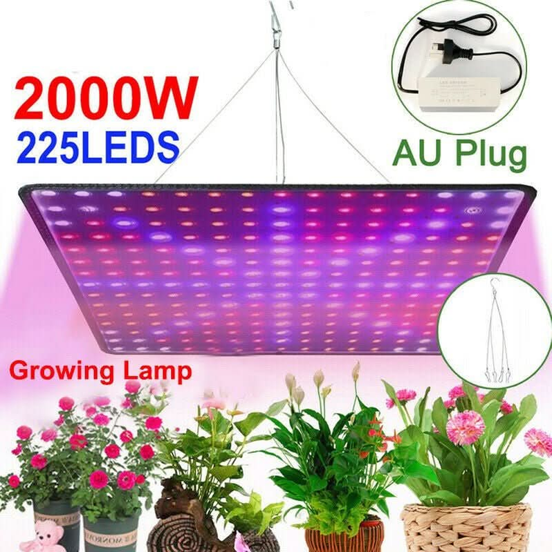 2000W 225 LED Grow Light Hydroponic Kits Growing Lamp Plant Flower Veg ...